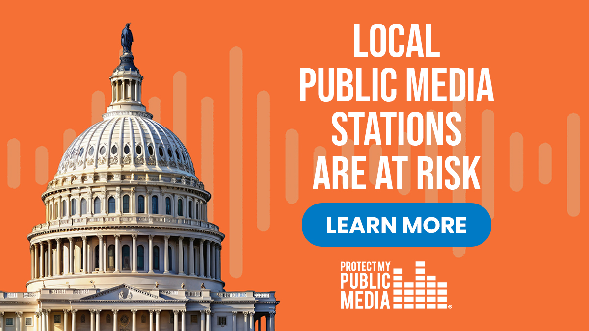 Protect My Public Media